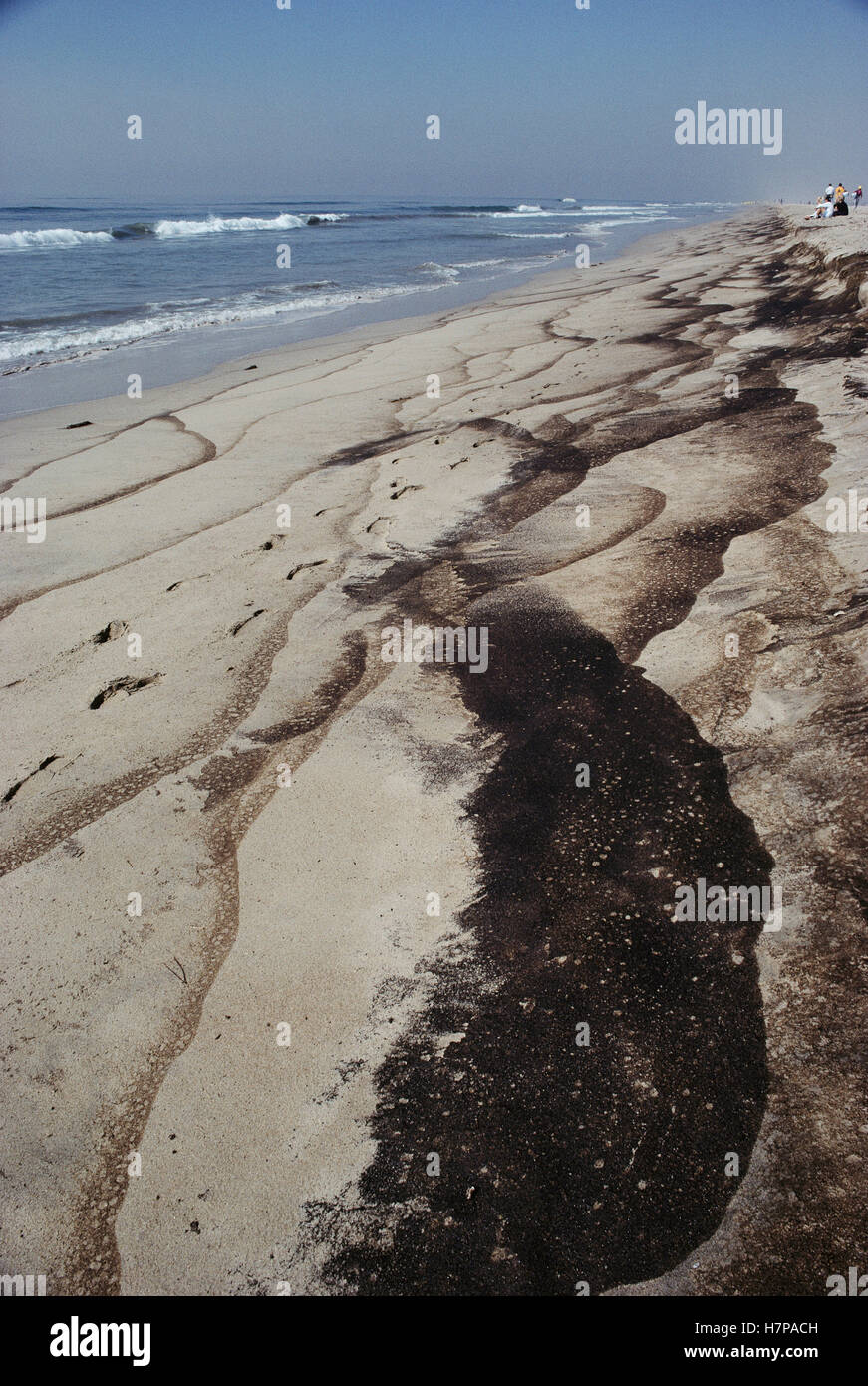Plankton bloom caused by natural upwelling or pollution, Sea of Cortez ...