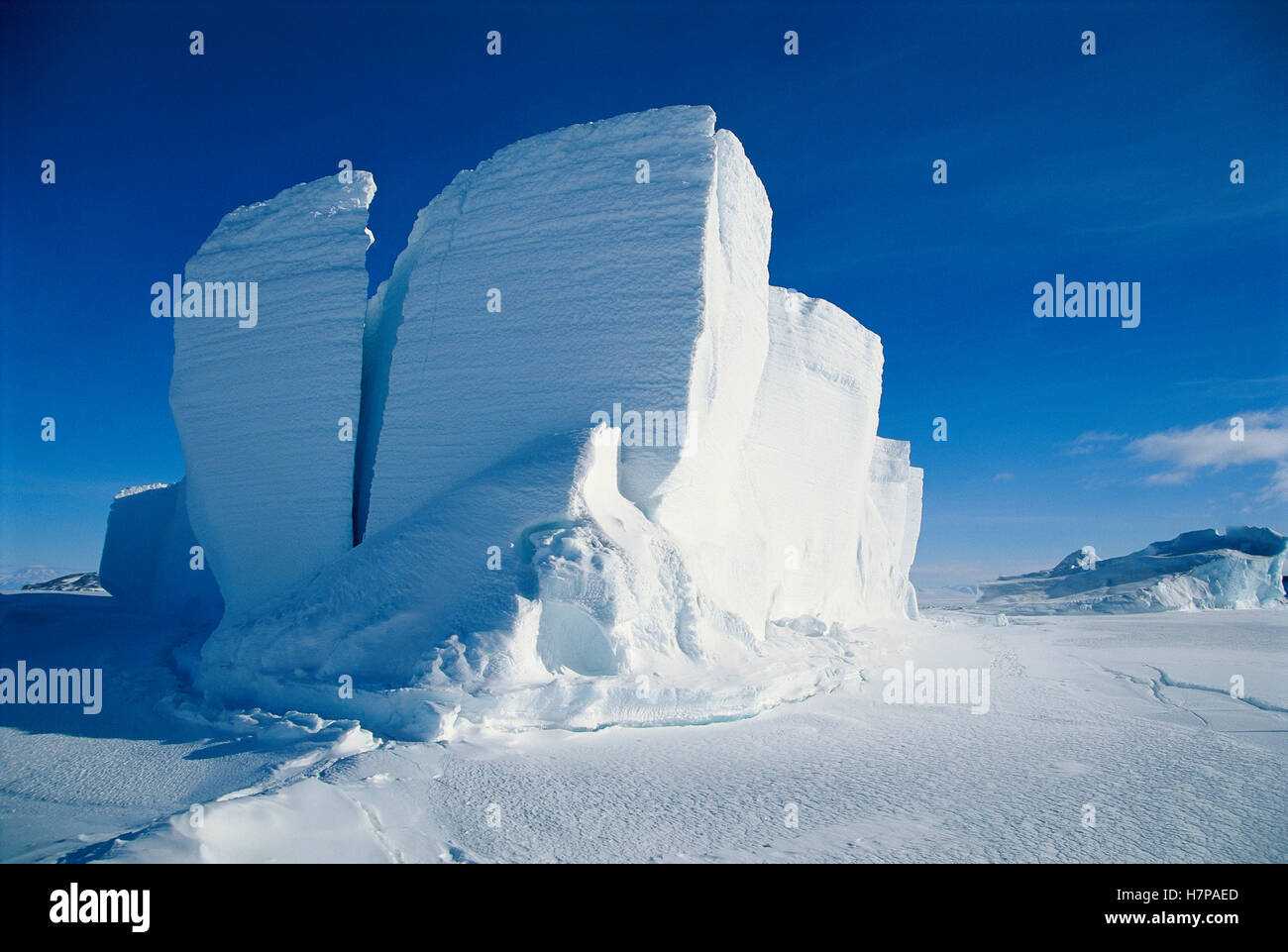 Grounded iceberg, calved from front of glacier, drifted into coast and ...