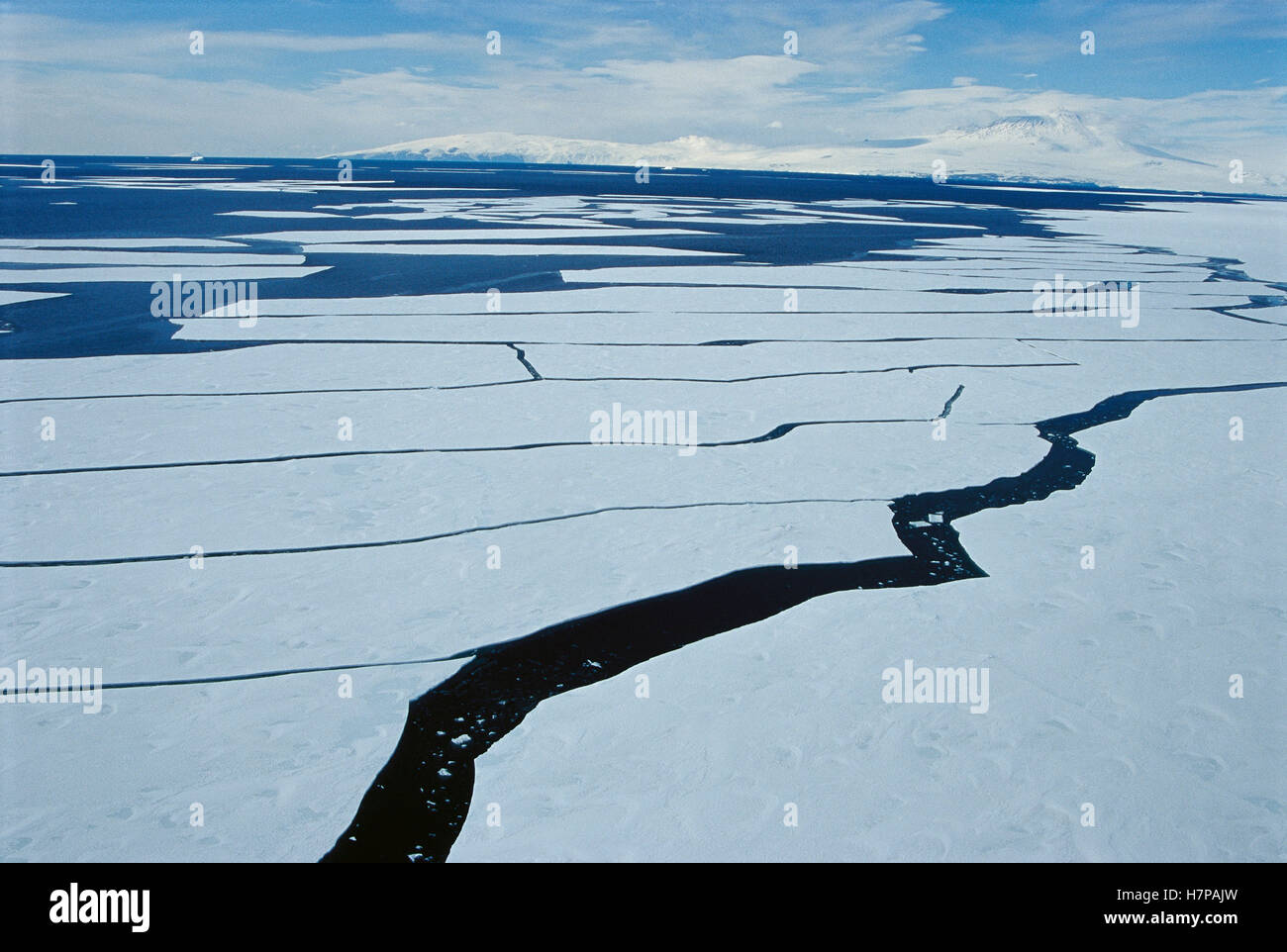 Sea ice lead, sea ice splits to reveal long leads in summer, opening ...