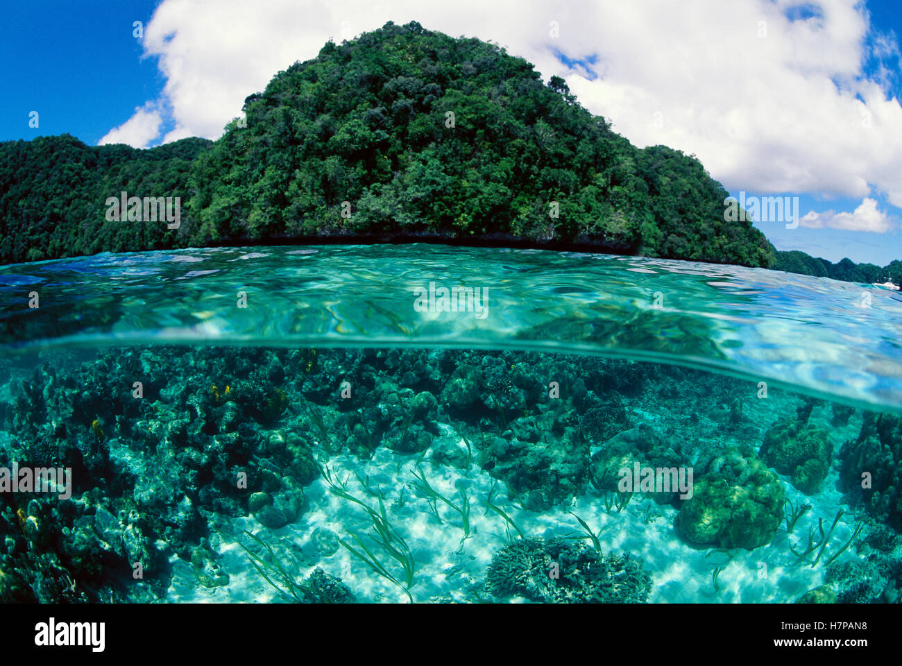 The Rock Islands of Palau, the limestone islands have been eroded into ...