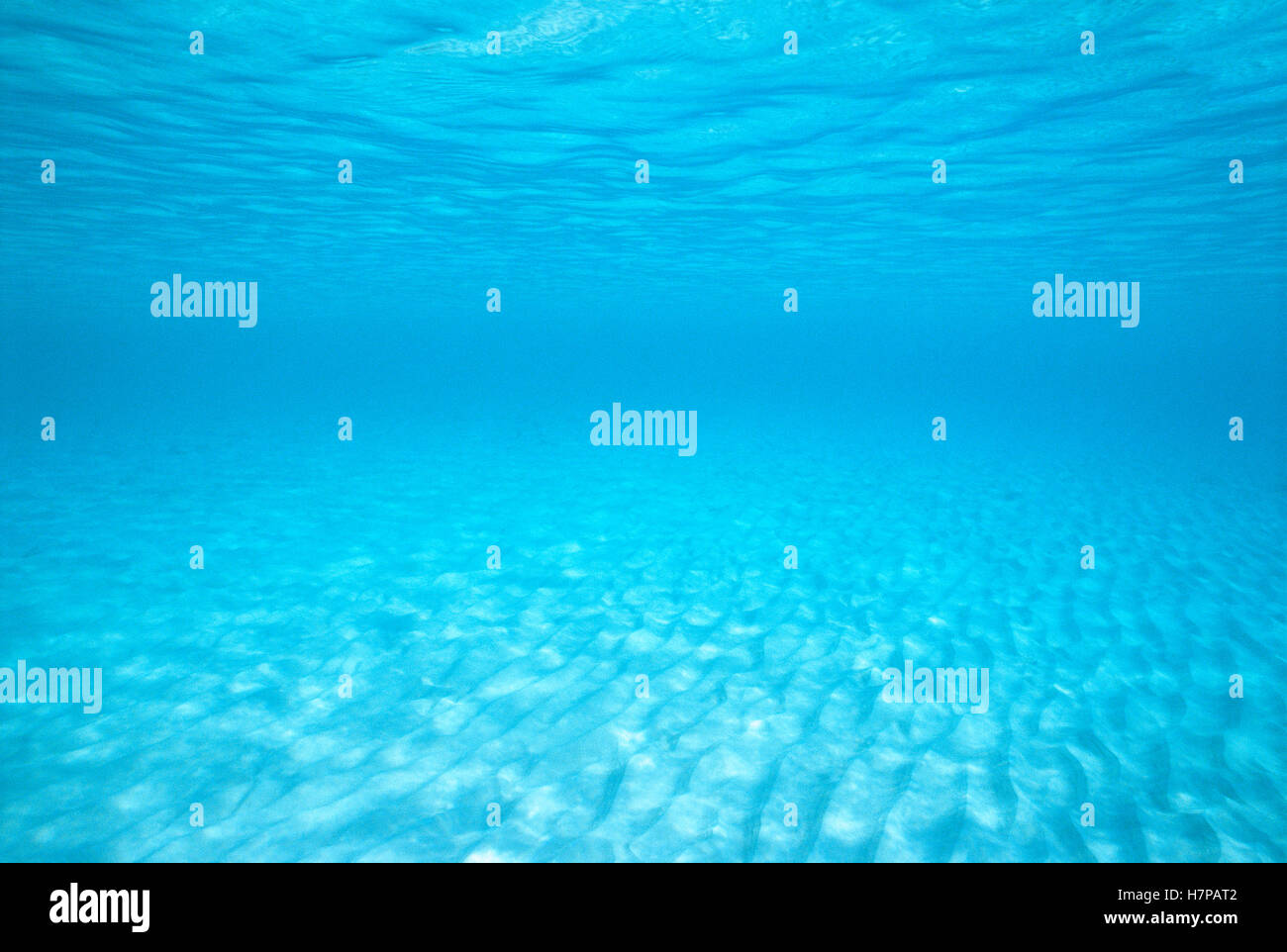Undersea desert, shallow sand dunes underwater, Grand Cayman, Caribbean ...