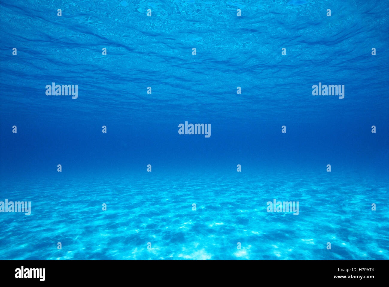 Undersea desert, shallow sand dunes underwater, Grand Cayman, Caribbean ...
