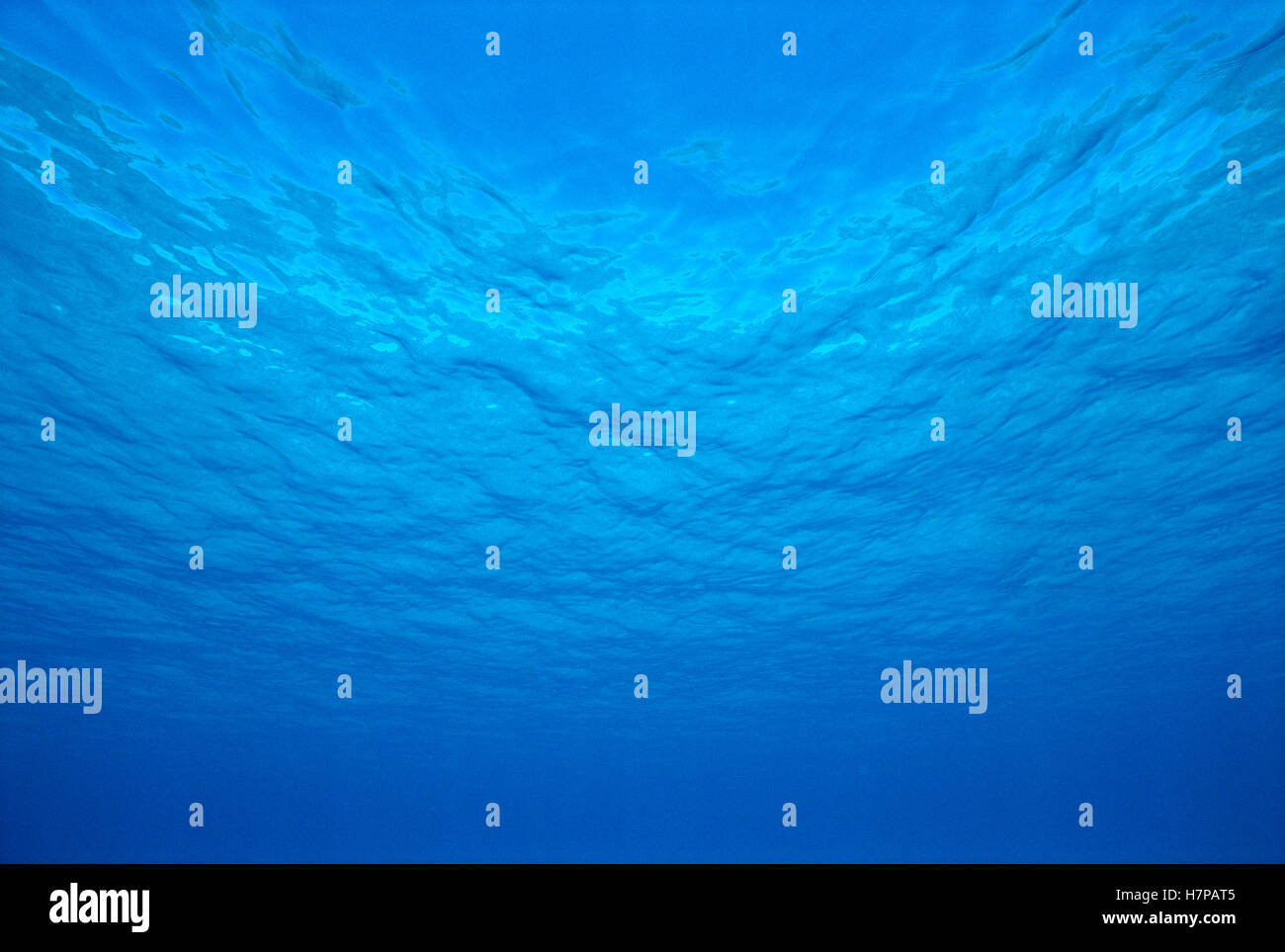 The ocean's surface from below, Pacific Ocean Stock Photo - Alamy