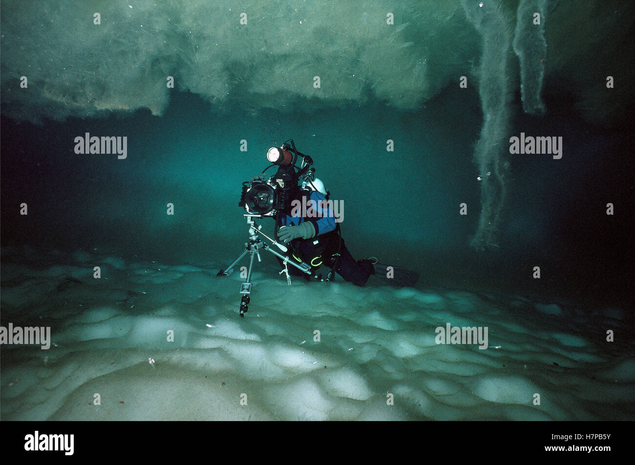 Norbert Wu photographing under the ice in Antarctica on shelf of an ...
