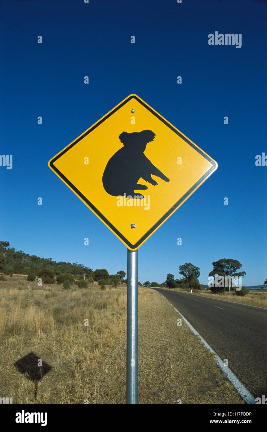Koala (Phascolarctos cinereus) road sign, Queensland, Australia Stock ...