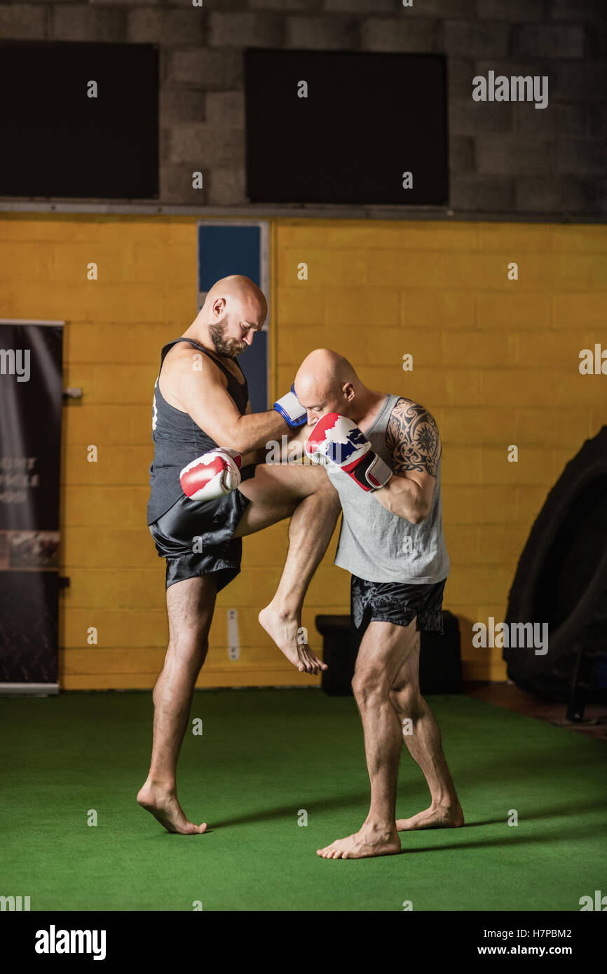 Thai boxers practicing boxing Stock Photo - Alamy
