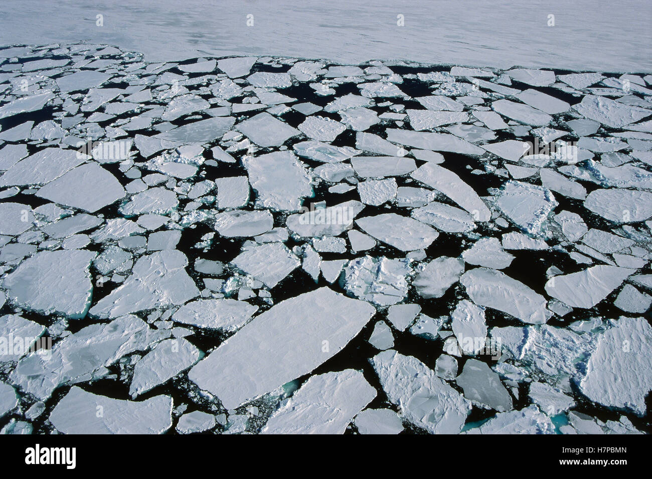 Ice floes that have broken off sea ice edge in late summer, McMurdo ...