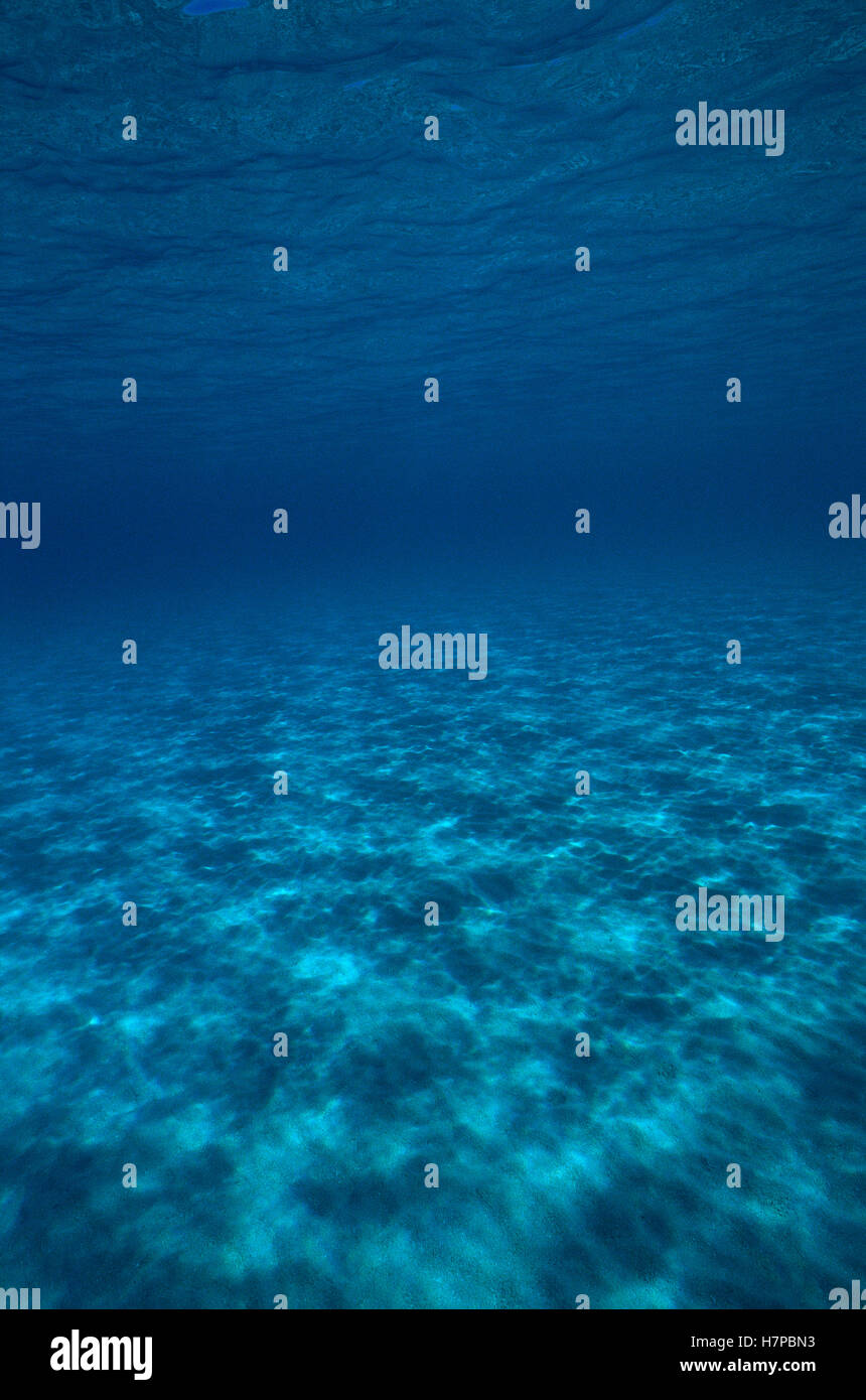 Shallow sand dunes underwater, Grand Cayman, Caribbean Stock Photo - Alamy