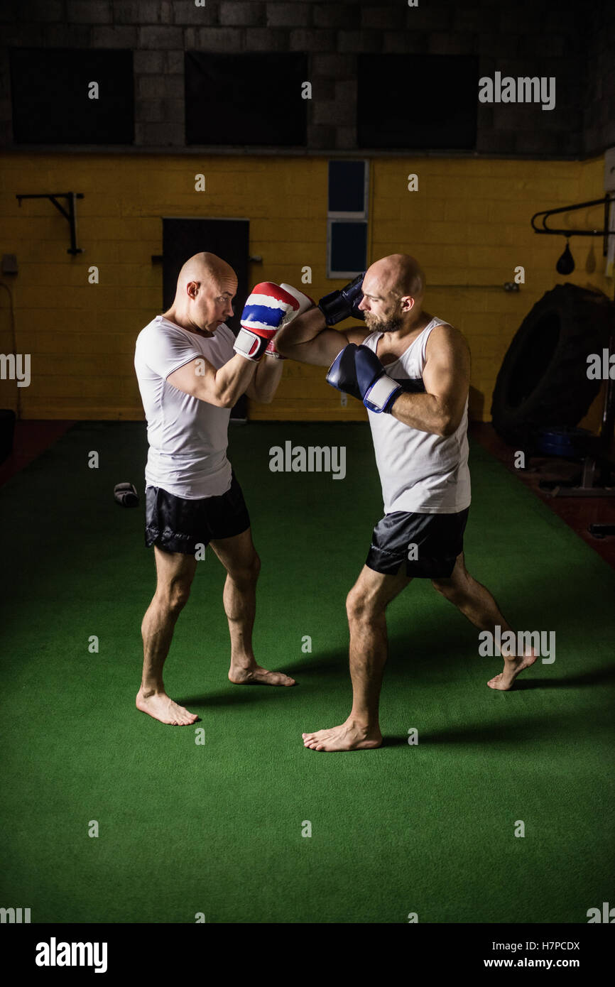 Two boxer practicing boxing in fitness studio Stock Photo - Alamy