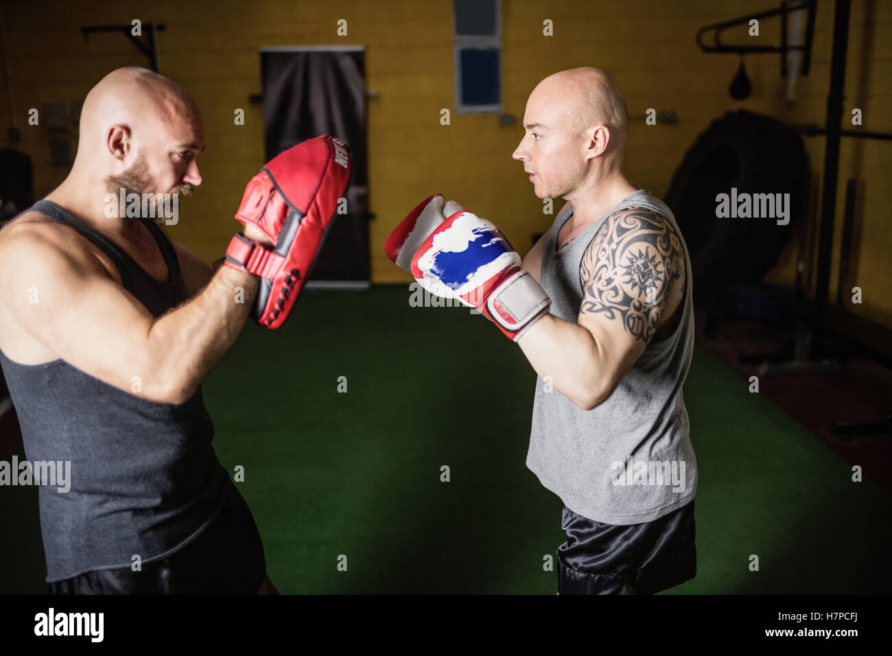 Boxers practicing boxing in the fitness studio Stock Photo - Alamy