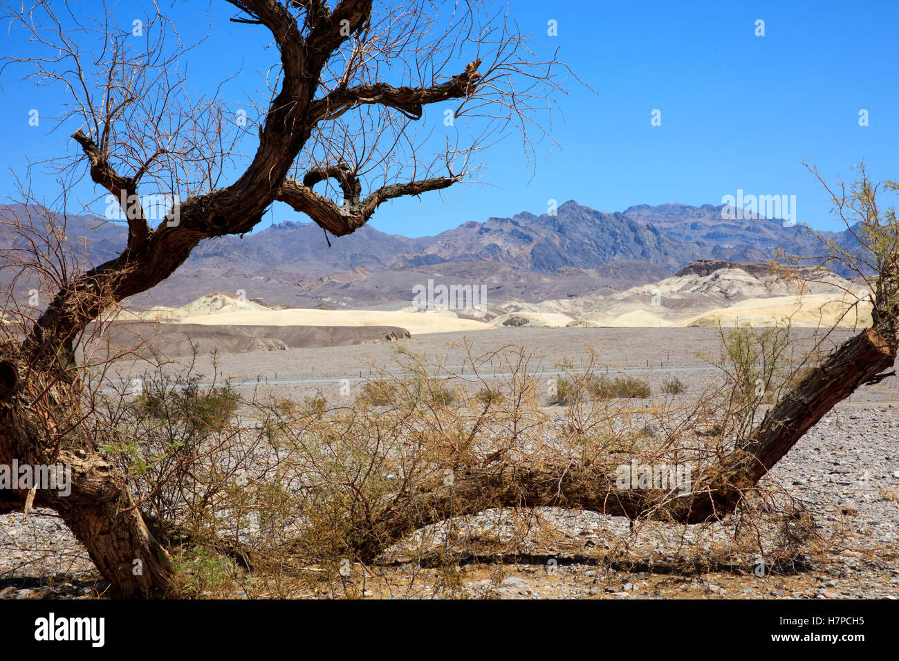 Death Valley National Park, California, USA Stock Photo - Alamy
