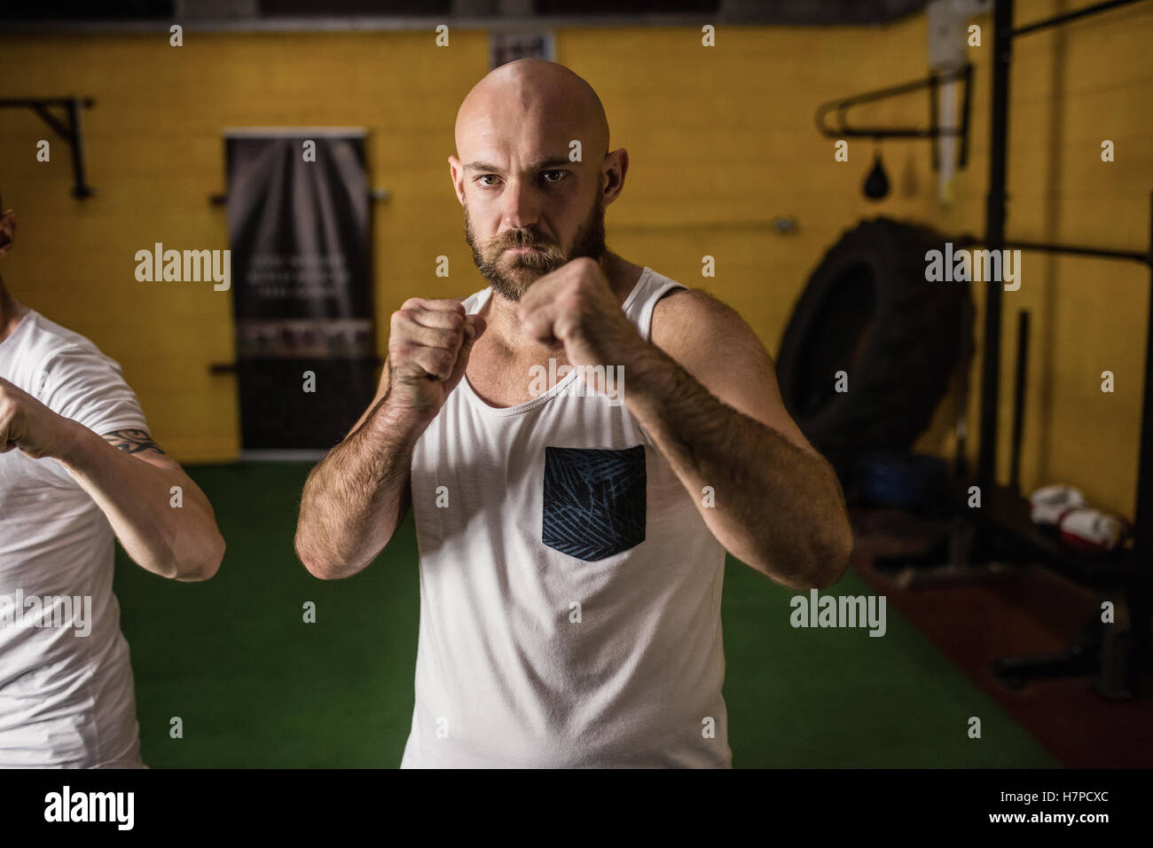 Portrait of two boxer standing Stock Photo - Alamy