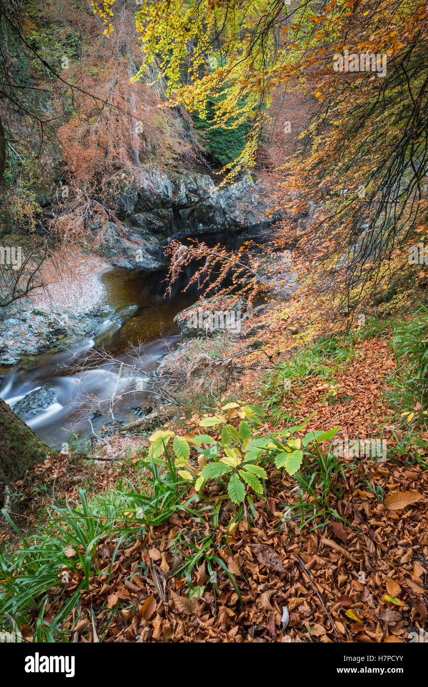 Rocks of Solitude Gorge on the North Esk River in Glen Esk Stock Photo ...