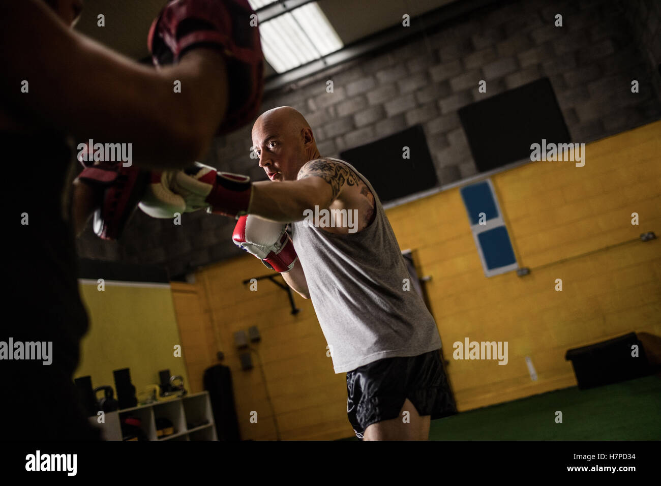 Boxers practicing boxing in the fitness studio Stock Photo - Alamy