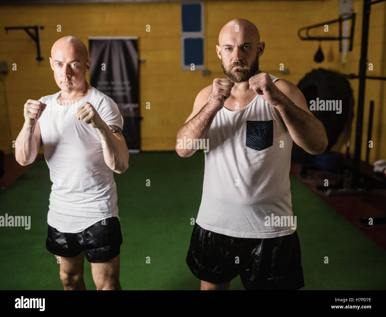 Portrait of two boxer standing Stock Photo - Alamy