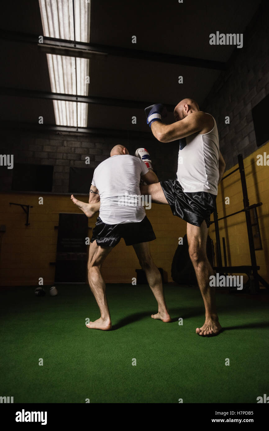 Two boxer practicing boxing in fitness studio Stock Photo - Alamy