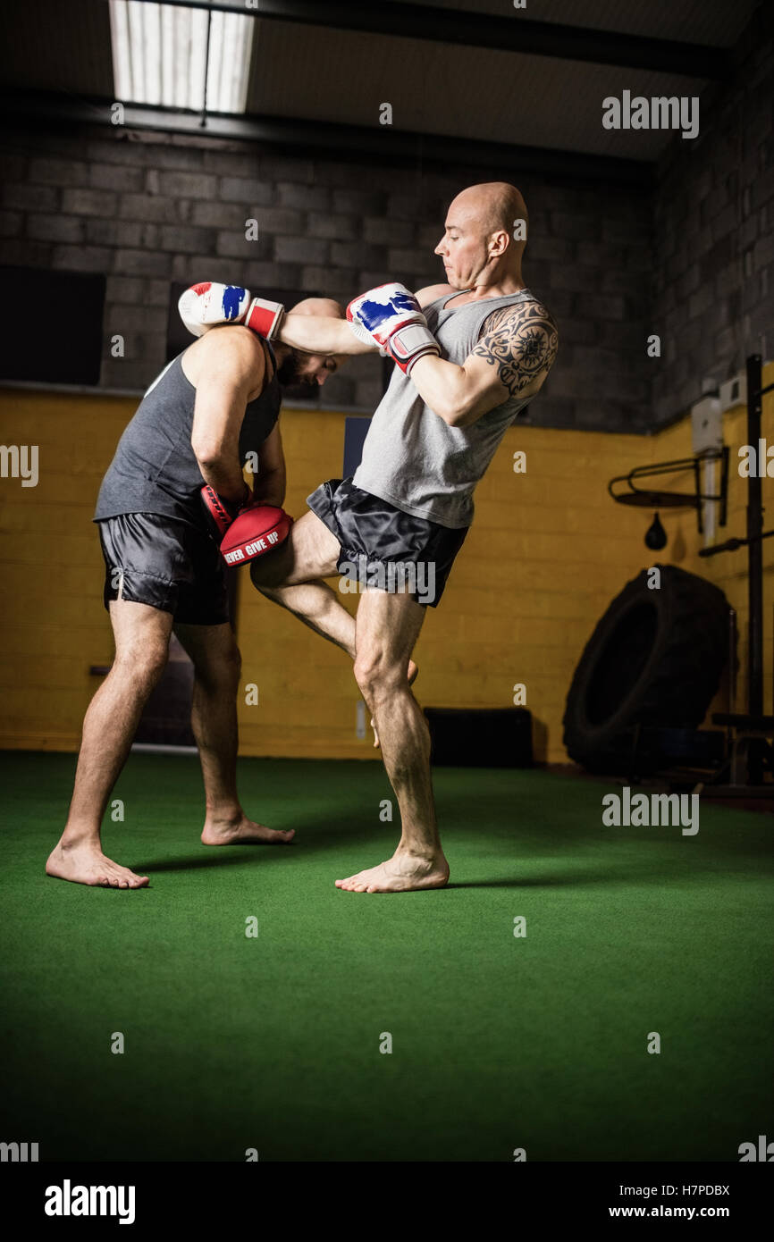 Boxers practicing boxing in the fitness studio Stock Photo - Alamy