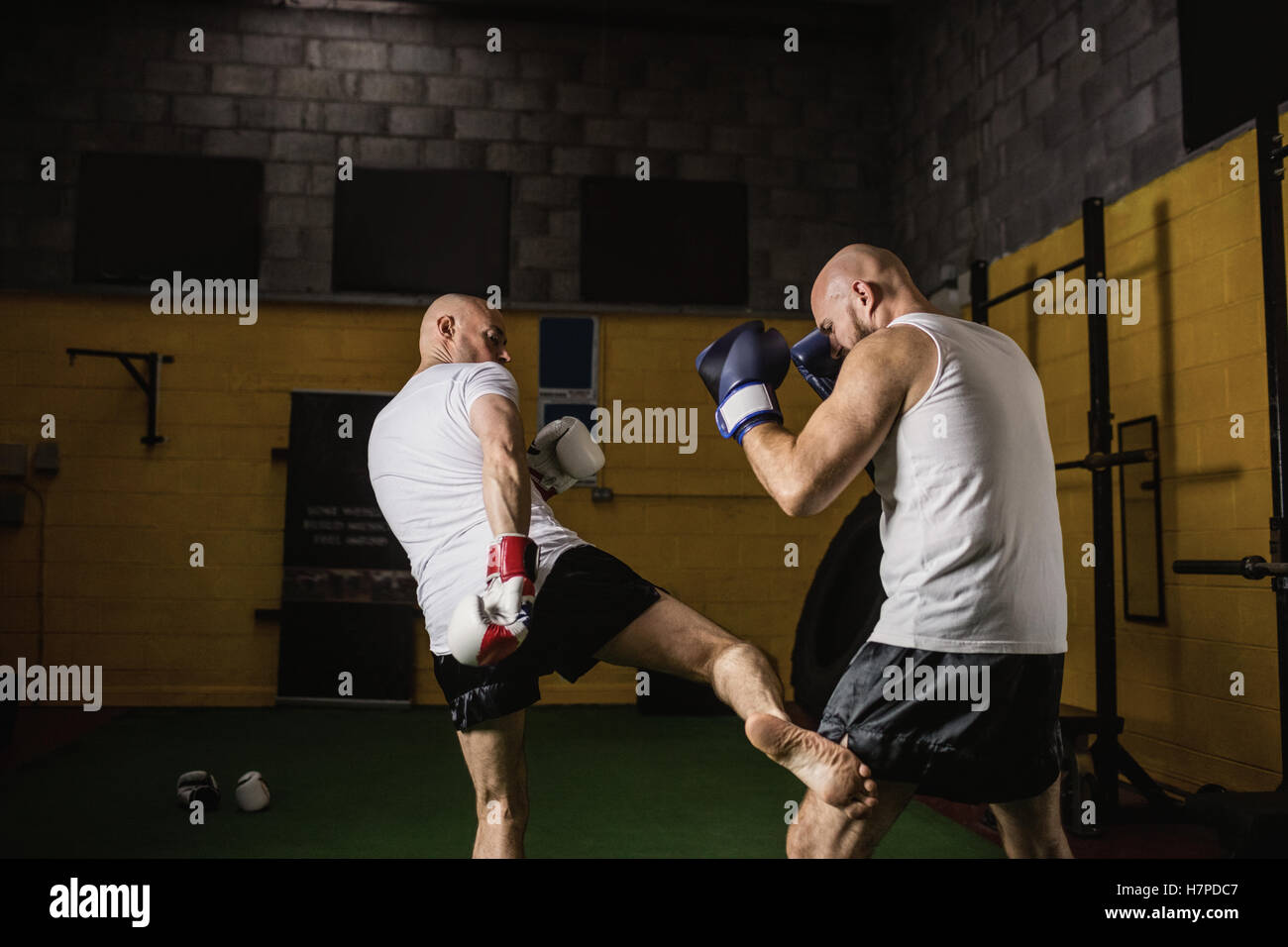 Two boxer practicing boxing in fitness studio Stock Photo - Alamy
