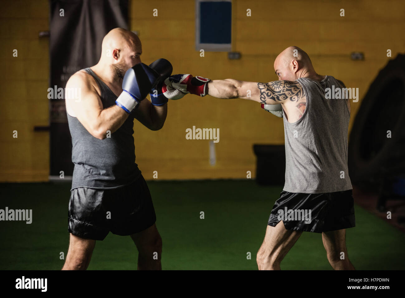 Thai boxers practicing boxing Stock Photo - Alamy