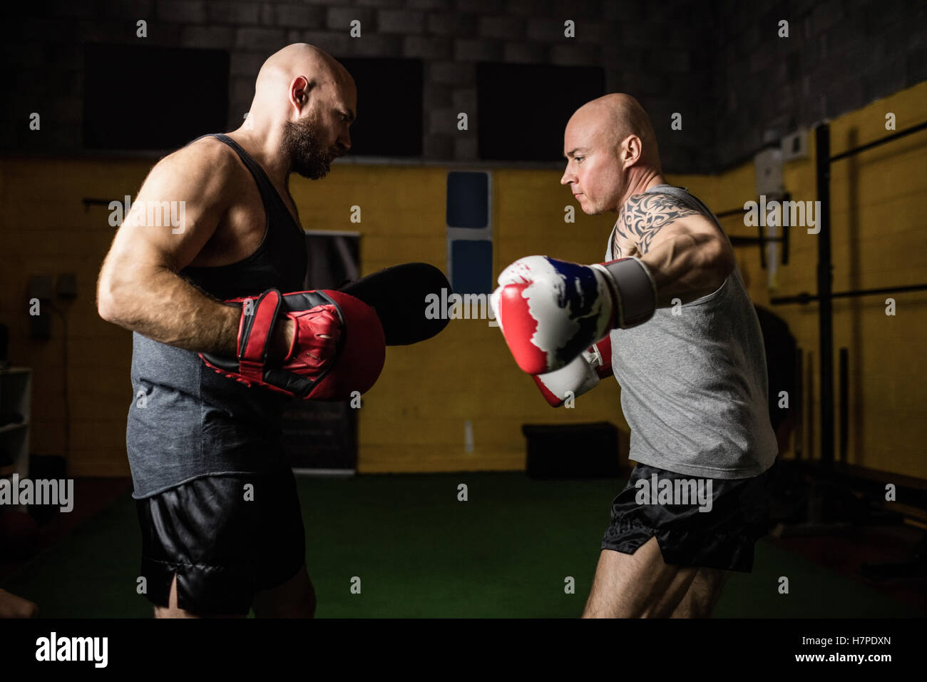 Boxers practicing boxing in the fitness studio Stock Photo - Alamy
