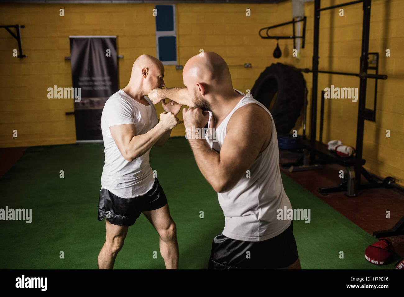 Two boxer practicing boxing in fitness studio Stock Photo - Alamy