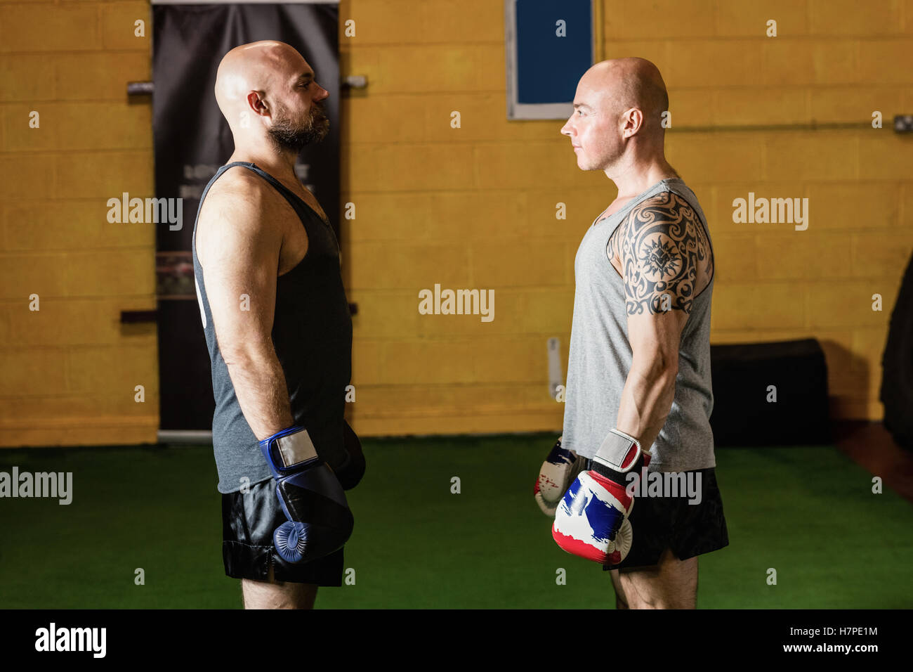 Two boxer standing face to face Stock Photo - Alamy