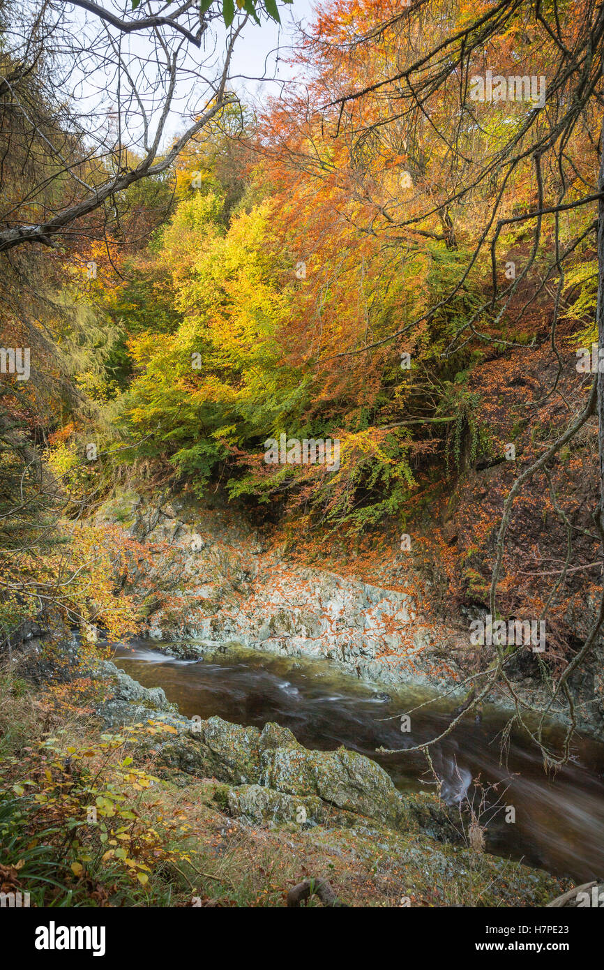 River north esk gorge hi-res stock photography and images - Alamy