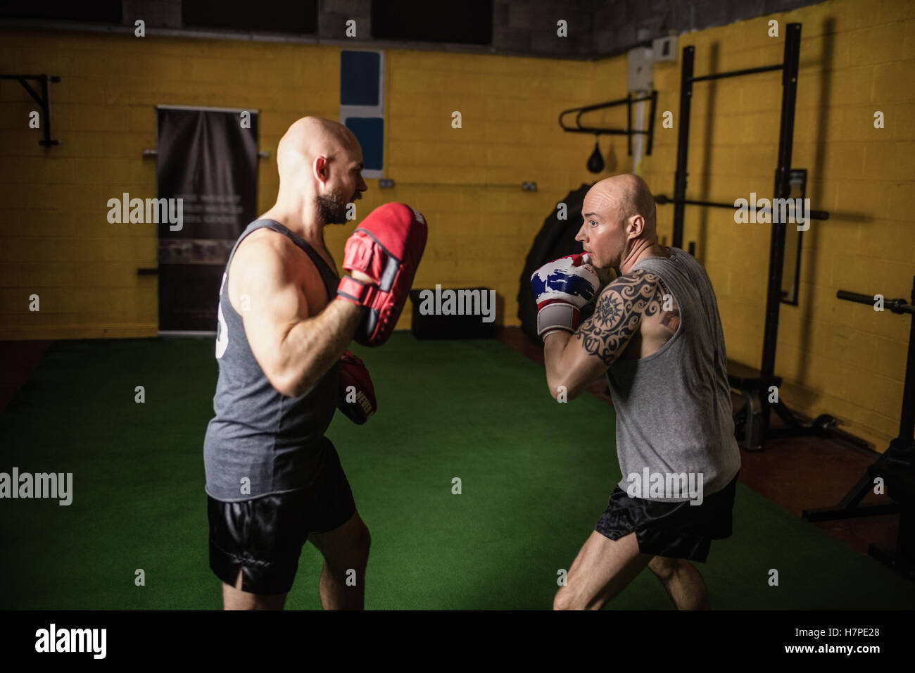 Boxers practicing boxing in the fitness studio Stock Photo - Alamy