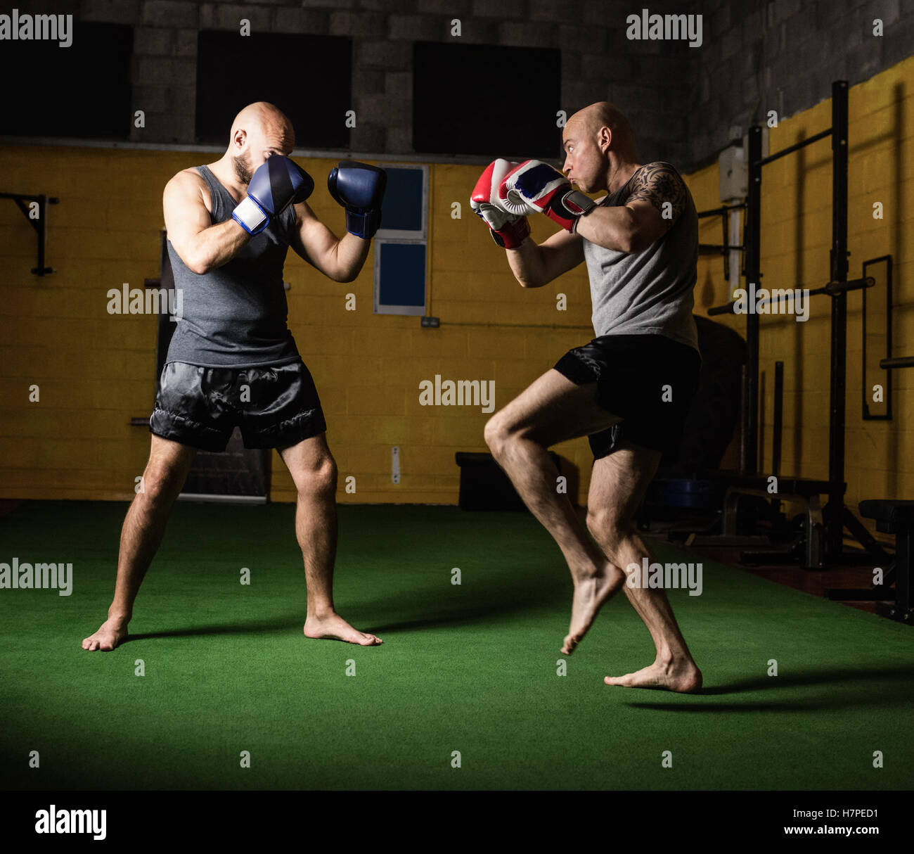 Thai boxers practicing boxing Stock Photo - Alamy