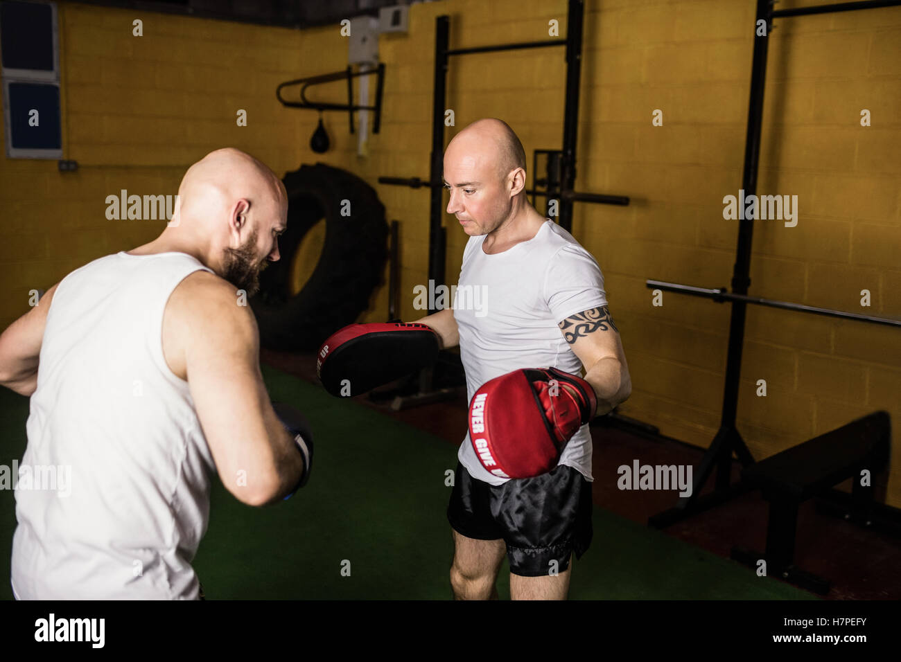 Boxers practicing boxing in the fitness studio Stock Photo - Alamy