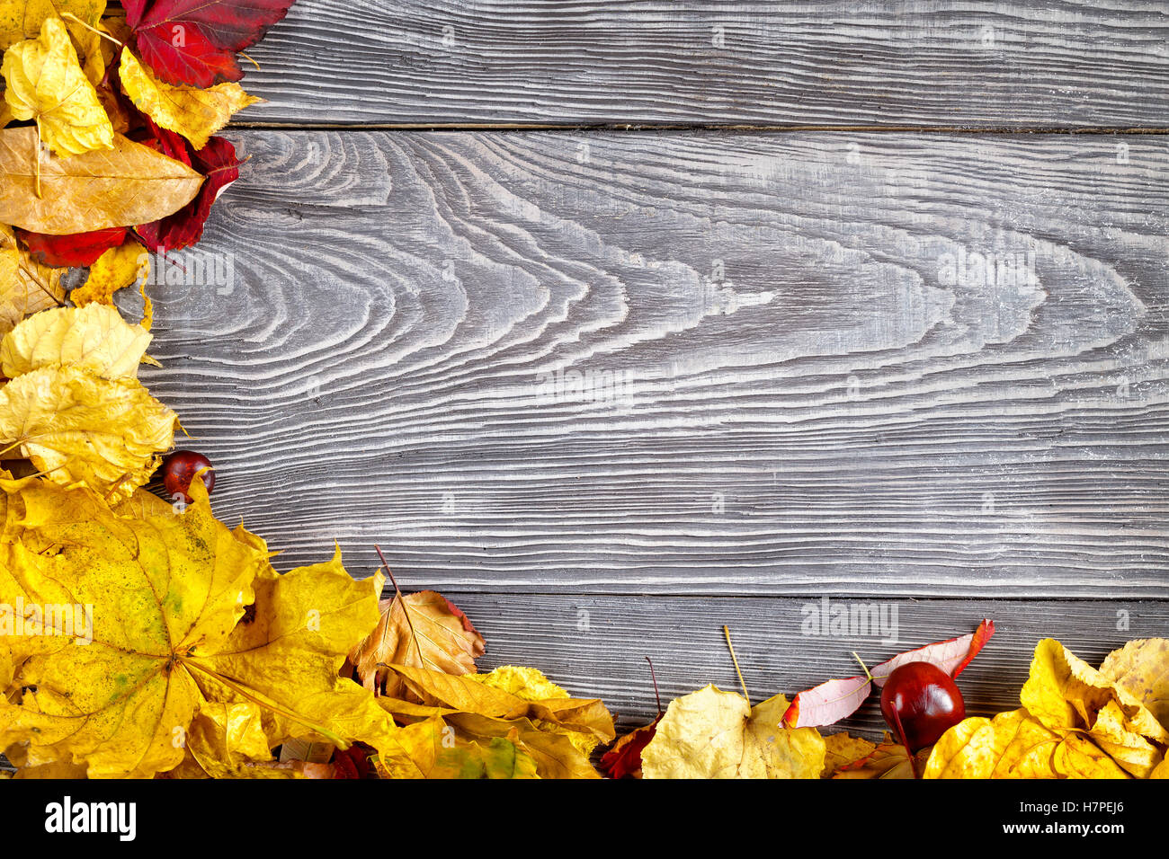 Wooden table with autumn leaves of different colors Stock Photo - Alamy