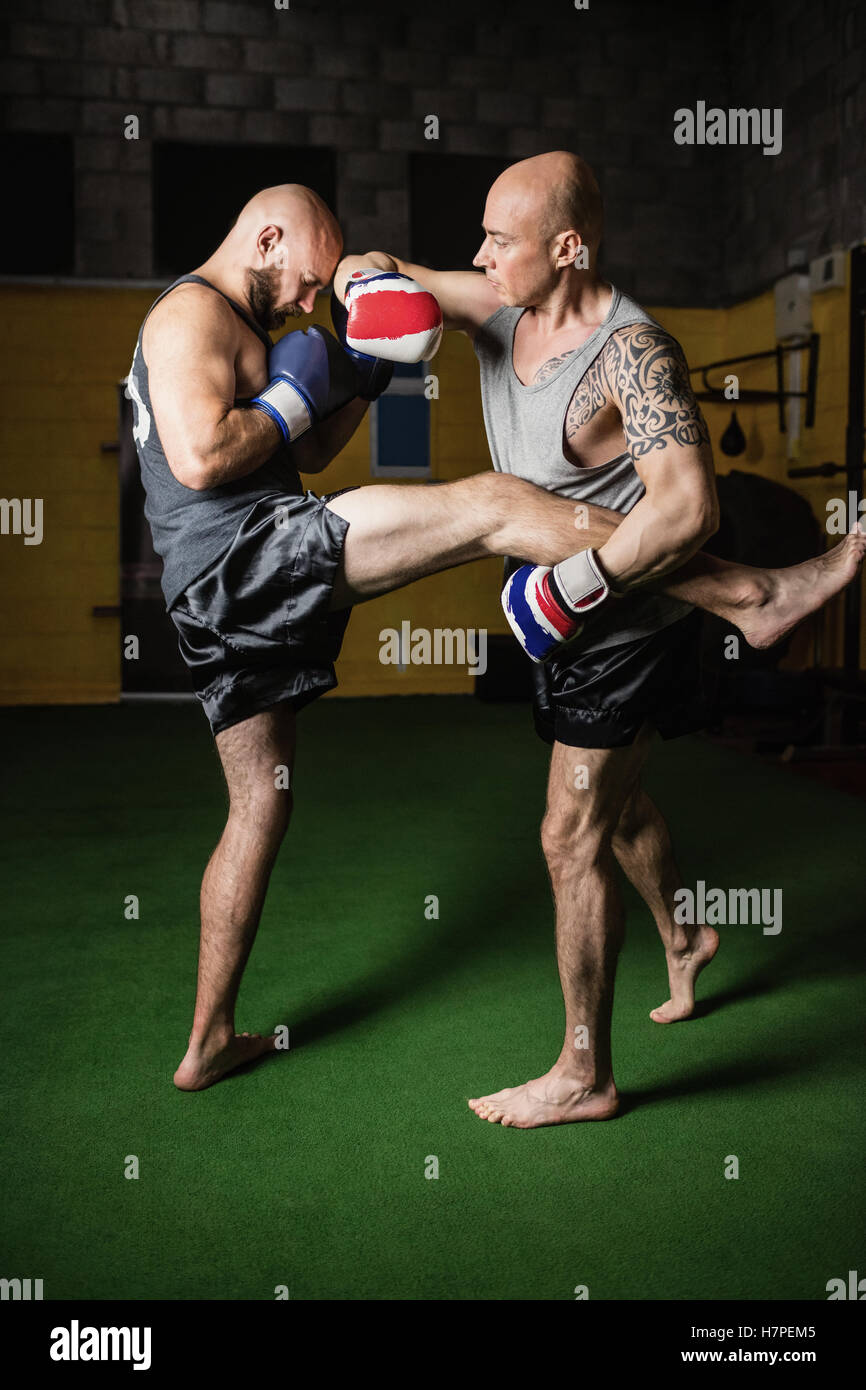 Thai boxers practicing boxing Stock Photo - Alamy