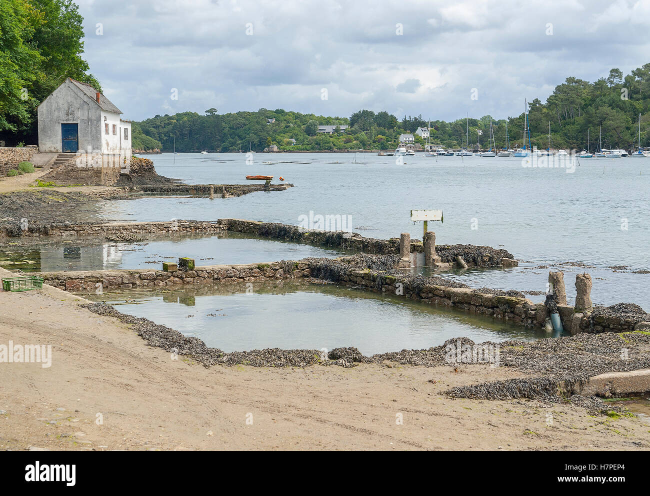 coastal scenery at the Belon River in Brittany, France Stock Photo - Alamy