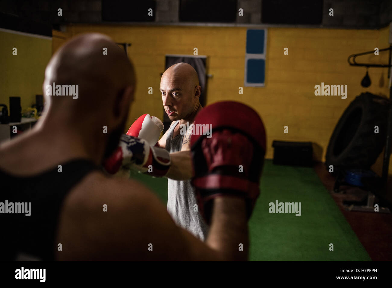 Boxers practicing boxing in the fitness studio Stock Photo - Alamy