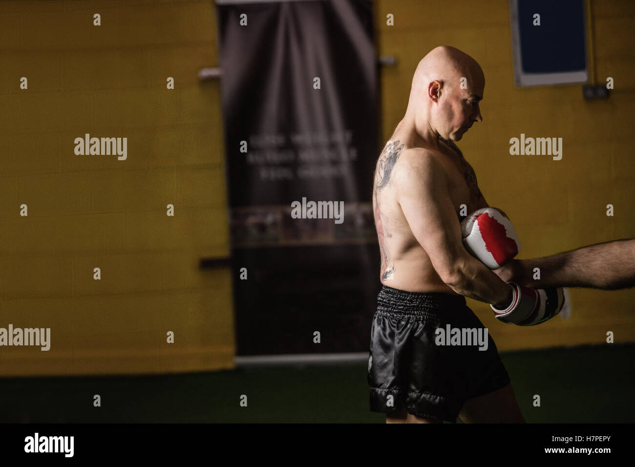 Thai boxer practicing boxing Stock Photo - Alamy
