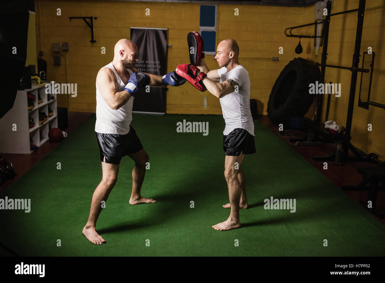 Boxers practicing boxing in the fitness studio Stock Photo - Alamy