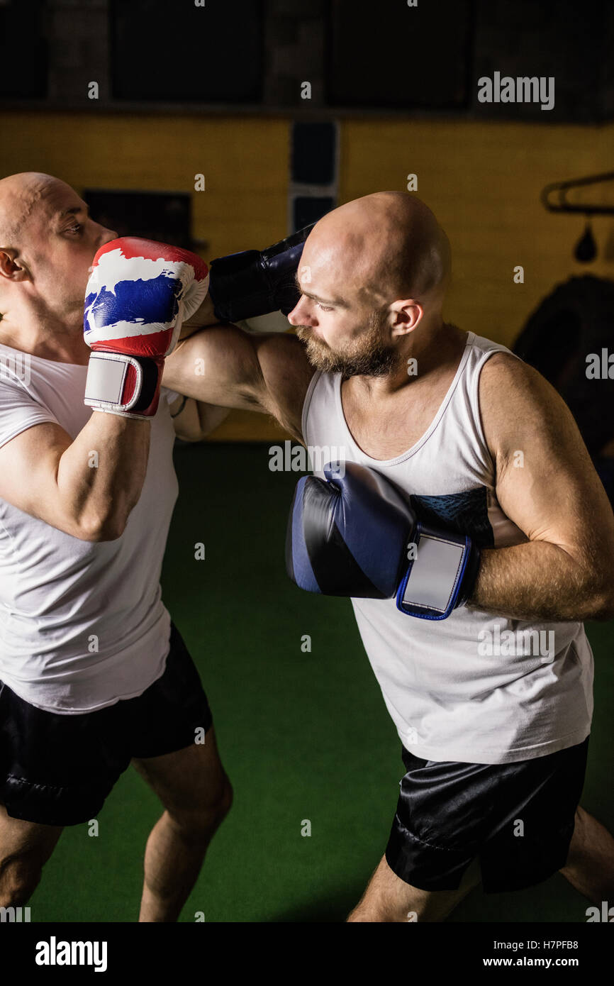 Two boxer practicing boxing in fitness studio Stock Photo - Alamy