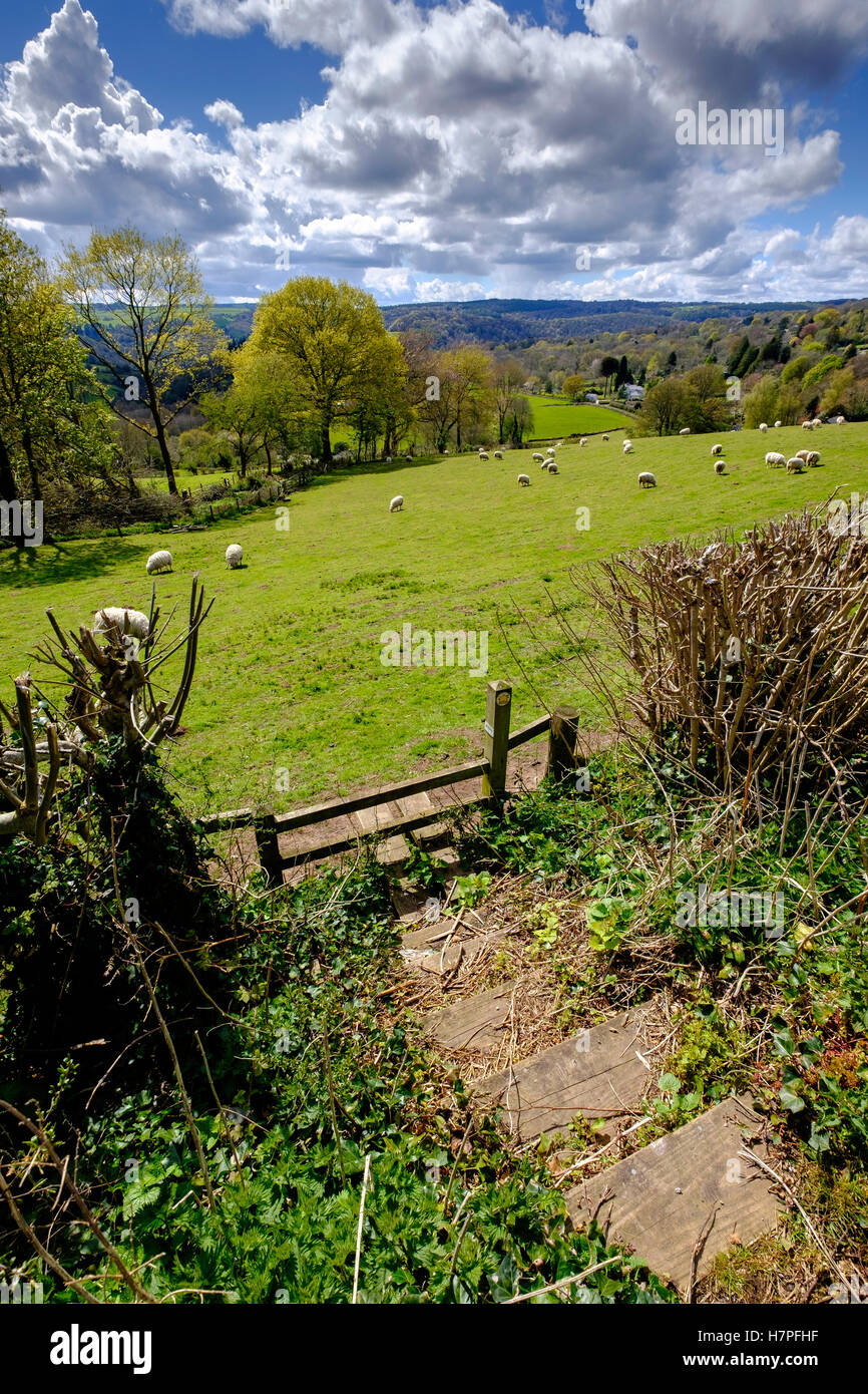 Brockweir gloucestershire hi-res stock photography and images - Alamy