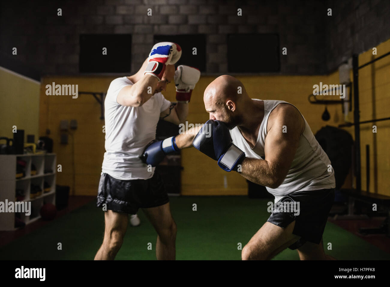 Two boxer practicing boxing in fitness studio Stock Photo - Alamy