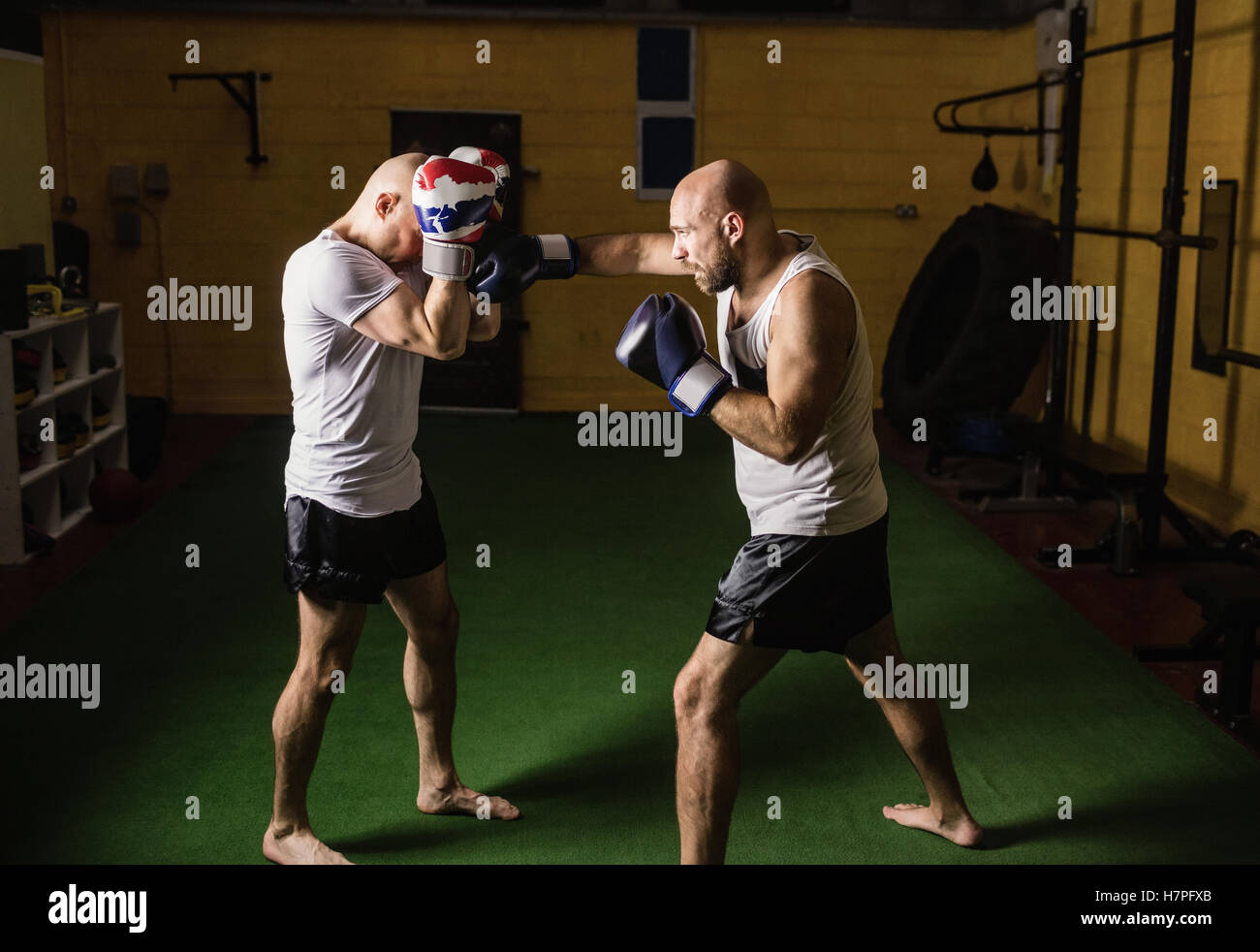 Two boxer practicing boxing in fitness studio Stock Photo - Alamy