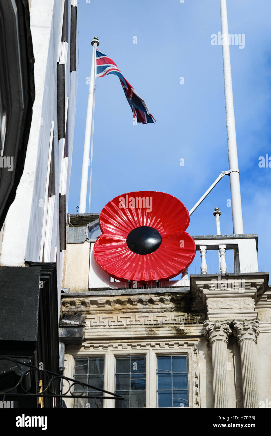 Poppy on flag hi-res stock photography and images - Alamy