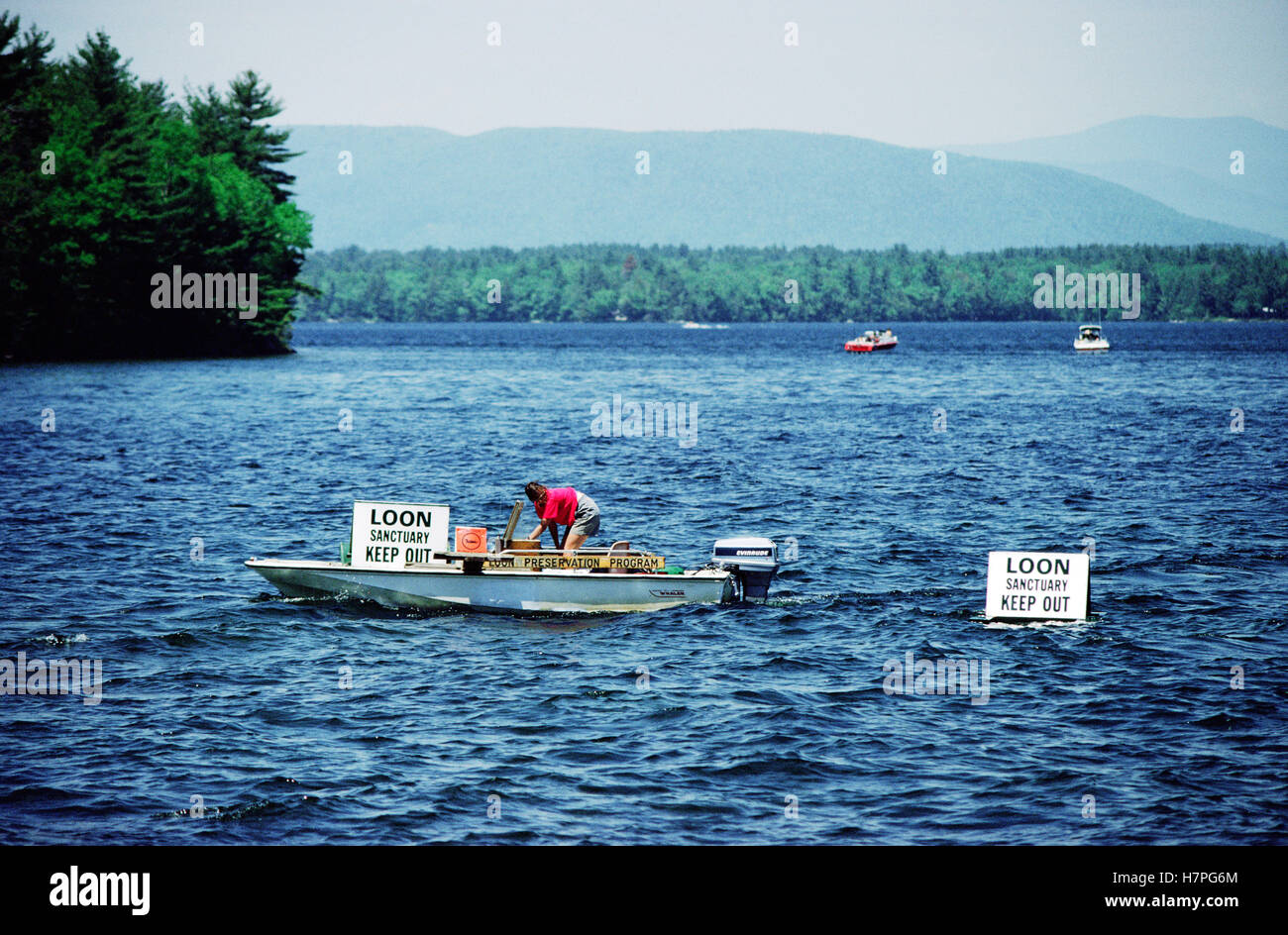 Floating signs set by the Loon Preservation Committee establish ...