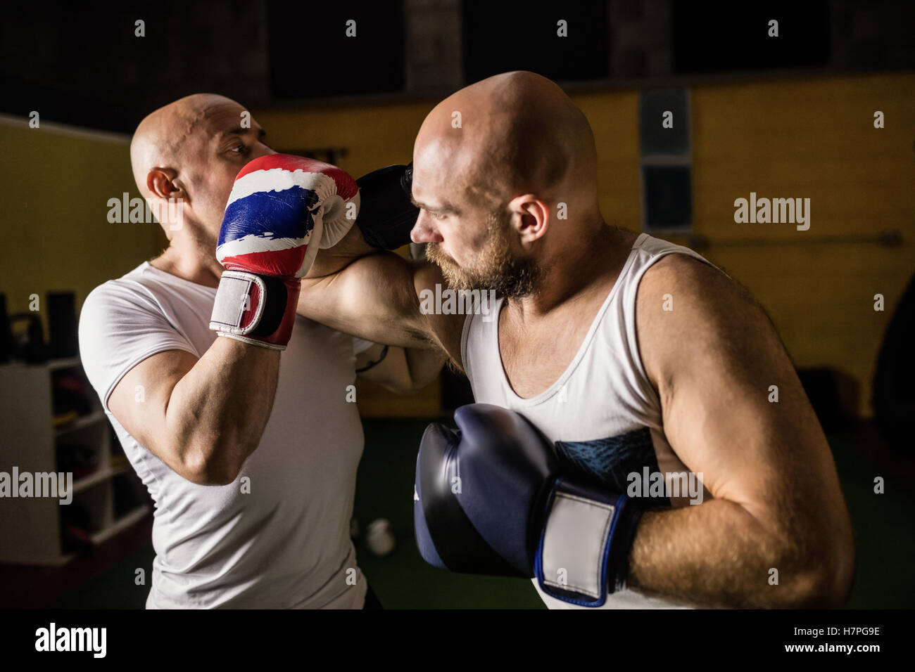 Two boxer practicing boxing in fitness studio Stock Photo - Alamy