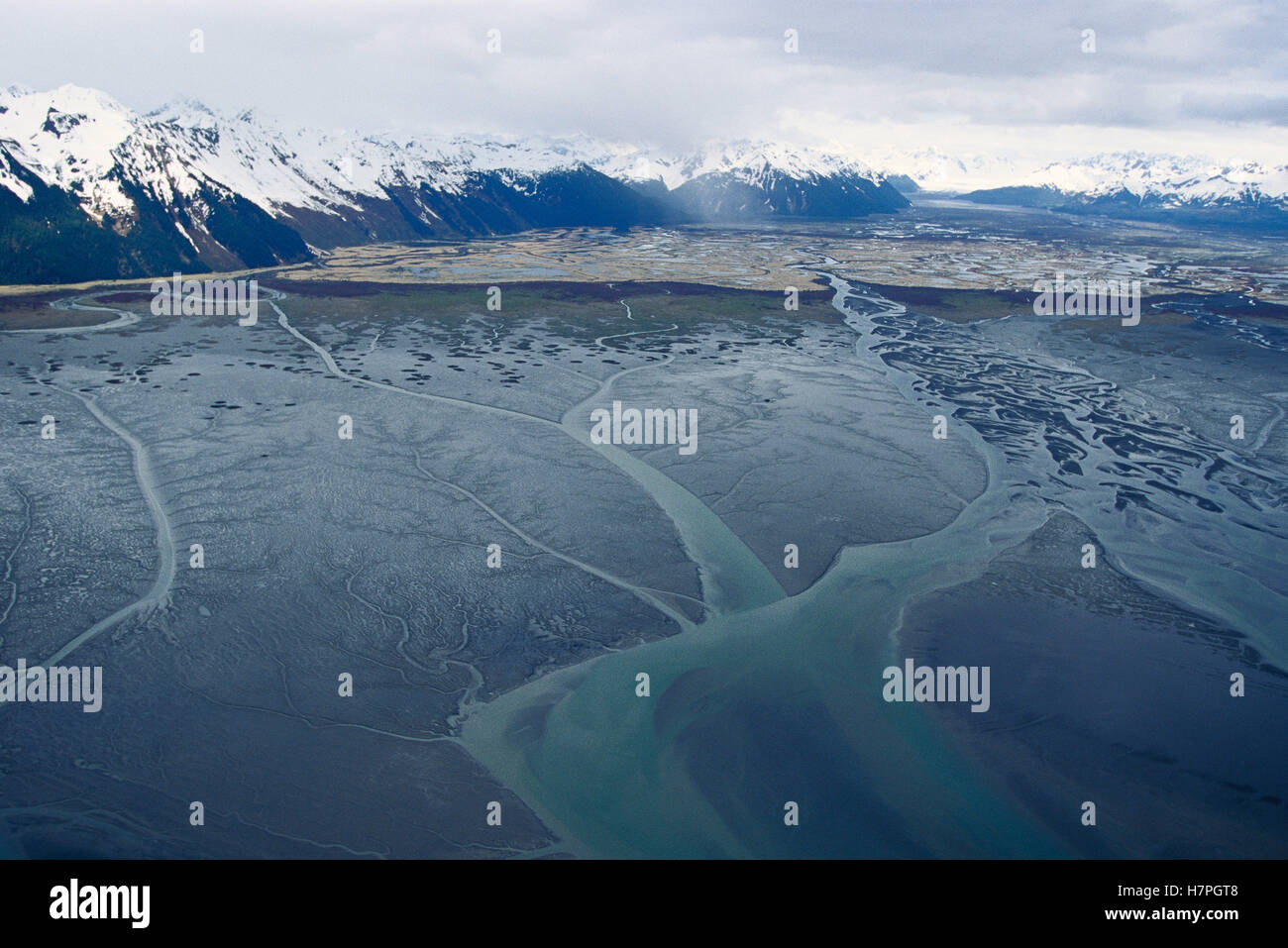Aerial view of the Copper River Delta mudflats, where each year ...