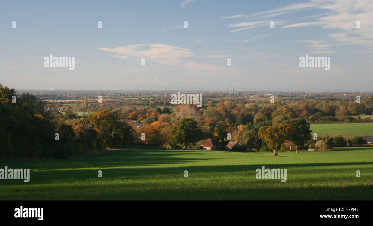 Halnaker trees hi-res stock photography and images - Alamy