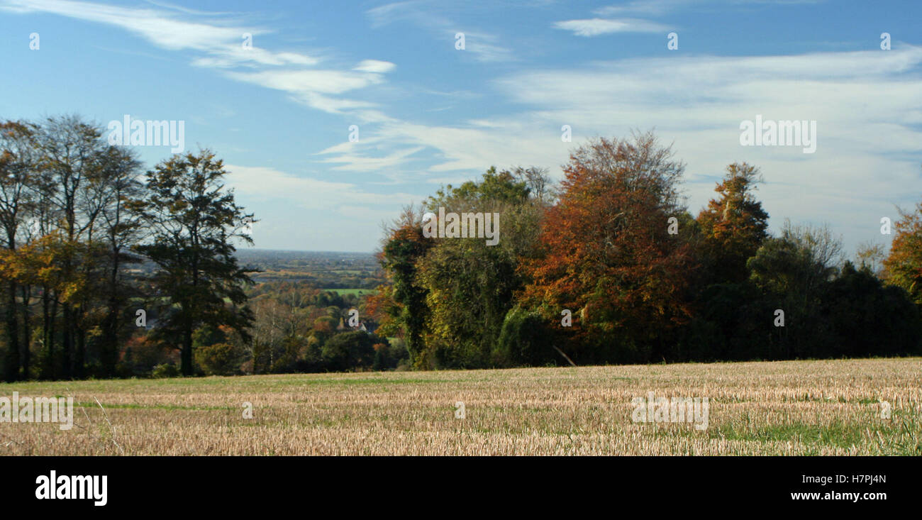 Halnaker autumn hi-res stock photography and images - Alamy