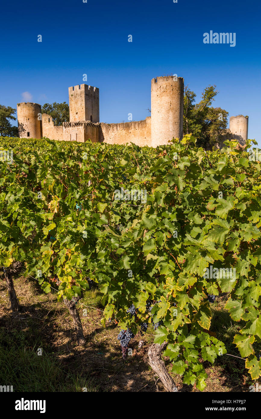 Vineyard and ancient castle. Sauternes Region, Budos, Aquitaine ...