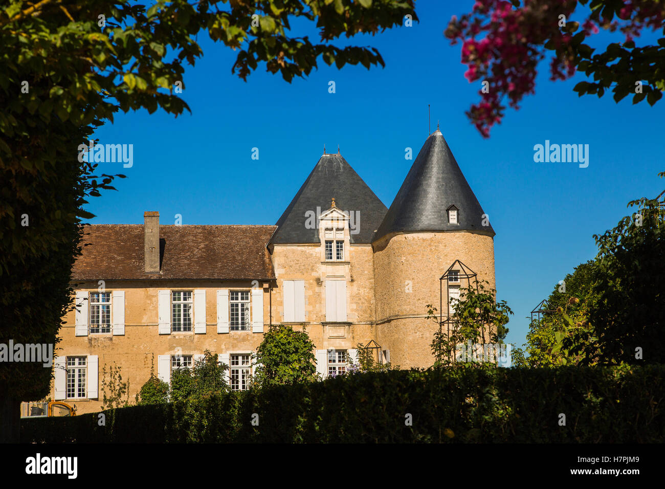 Sauternes vineyard hi-res stock photography and images - Alamy