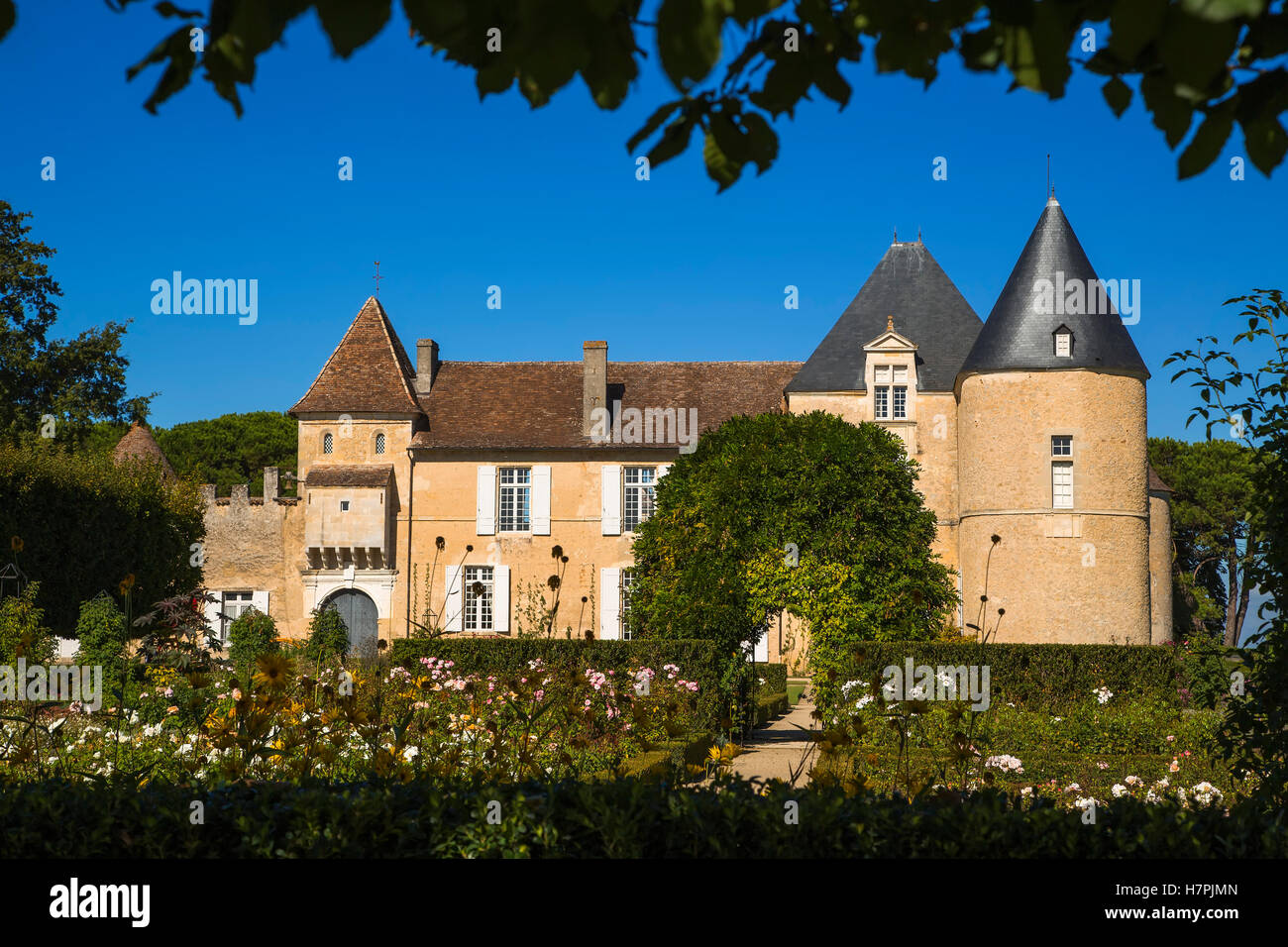 Chateau Yquem & vineyard. Sauternes Region, Bordeaux, Aquitaine France ...