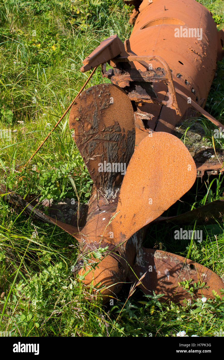 Alaska, Aleutian Island Chain, Rat Islands, Kiska Island (Aleutian ...
